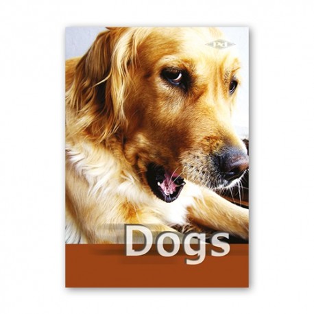Füzet MT kisalakú 20-32 sima dogs - Papiro24 Irodaszer webáruház