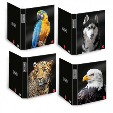 Gyűrűs könyv Pigna Animal A/4 4 gyűrűs 40 mm gerinccel - Papiro24 ...